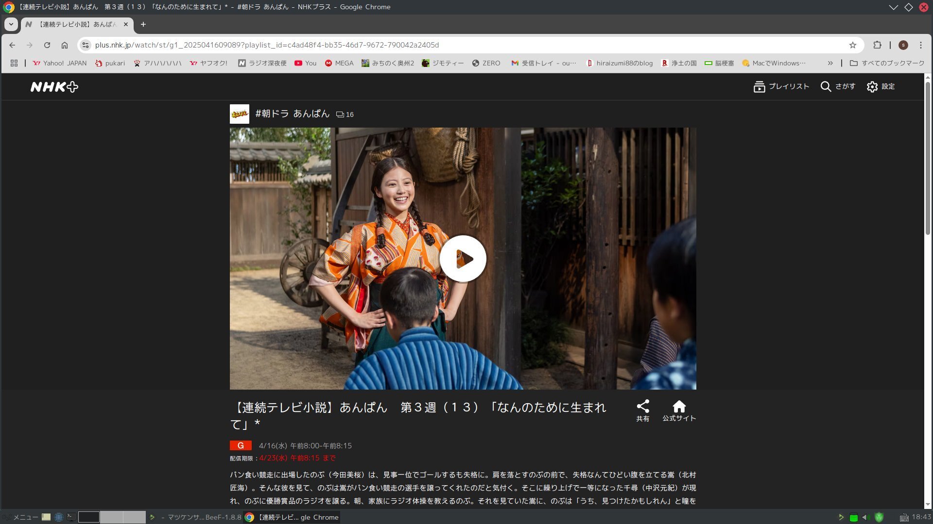 noblepup64 usb(sony製usm32GB)メモリーへインストール: みちのく奥州2